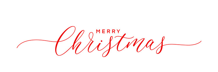 Merry christmas text with tree branch Royalty Free Vector