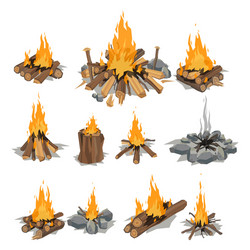 Bonfires types different ways of laying logs Vector Image