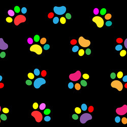 Multicolored paw prints animal on the notes sheet Vector Image