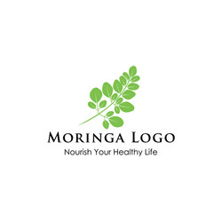 Moringa oleifera miracle tree logo design Vector Image