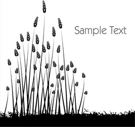 Field of wheat grass Royalty Free Vector Image