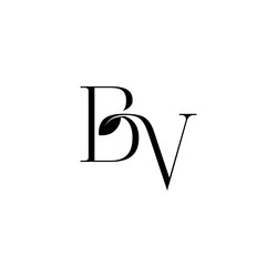 Bv initials logo design initial letter logo Vector Image