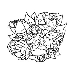 Group flower line drawing Royalty Free Vector Image