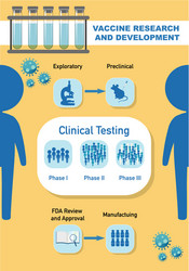 Vaccine research and development infographic Vector Image