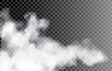Mist on transparent background Royalty Free Vector Image
