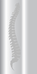 Backbone Vector Images (over 7,400)