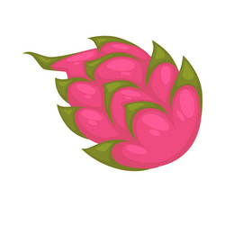 Dragon fruit cartoon Royalty Free Vector Image
