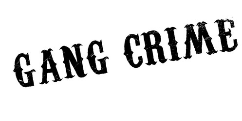 Gang crime rubber stamp Royalty Free Vector Image