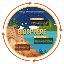 Biosphere ecology infographic for learning Vector Image
