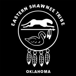 Hawk Totem Vector Images (over 120)