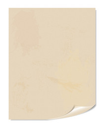 White blank page Royalty Free Vector Image - VectorStock