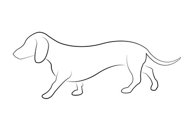 Dog Side View Vector Images (over 1,400)