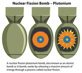 Nuclear fission Royalty Free Vector Image - VectorStock