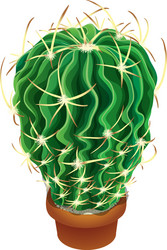 Realistic cactus Royalty Free Vector Image - VectorStock