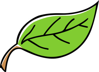 Two green leaves cartoon icon Royalty Free Vector Image