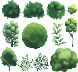 Super trees bushes shrubs top view Royalty Free Vector Image