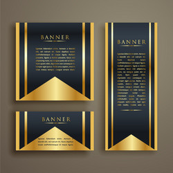 Elegant set of three premium banners or card Vector Image