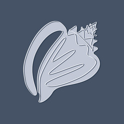 Spiral seashell in one continuous line drawing Vector Image