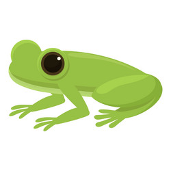 Green Tree Frog Vector Images (over 1,200)
