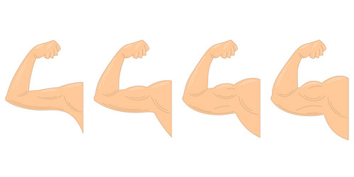 Male Muscle Growth Vector Images (over 150)