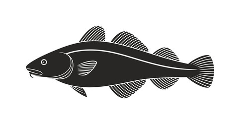 Atlantic cod Royalty Free Vector Image - VectorStock