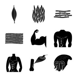 Design human and body sign set Royalty Free Vector Image