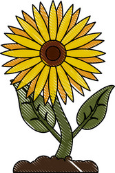 Sunflower Vector Images (over 50,000)