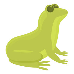 Green Tree Frog Vector Images (over 1,200)