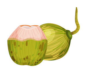 Palm Kernel Vector Images (over 110)