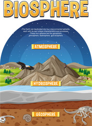 Biosphere ecology infographic for learning Vector Image