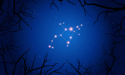 Norma constellation tree branches starry sky Vector Image