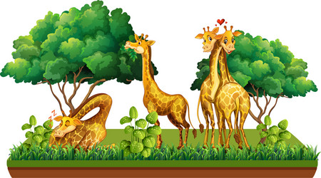 Giraffe Eating Grass Clipart