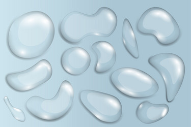 Realistic water drops bubbles rain water foam Vector Image