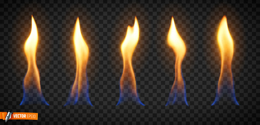 Realistic flames Royalty Free Vector Image - VectorStock