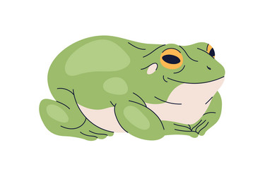 Green Tree Frog Vector Images (over 1,200)