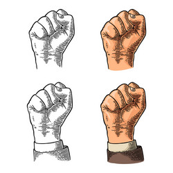 Fist color Royalty Free Vector Image - VectorStock