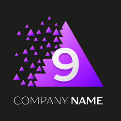 Number nine logo in the colorful triangle Vector Image