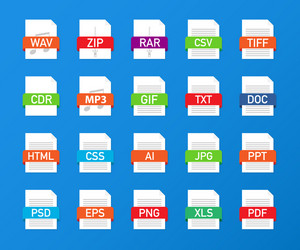 Common system file formats document types Vector Image