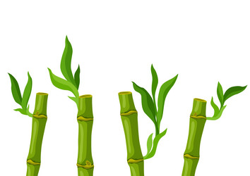 Asian bamboo plants and stems cartoon isolated Vector Image