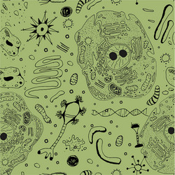 Hand drawn cell Royalty Free Vector Image - VectorStock