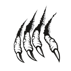 Dinosaur Claw Marks Vector Images (over 170)