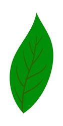 Tree leaf Royalty Free Vector Image - VectorStock
