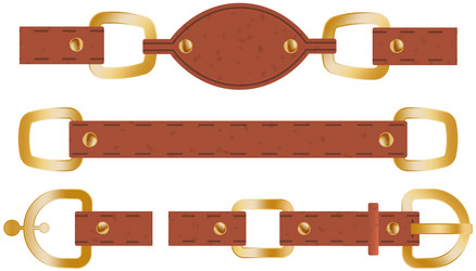 Set of leather waist belts isolated modern unisex Vector Image
