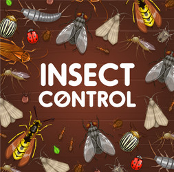 Pest control background Royalty Free Vector Image