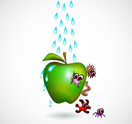 Wash Apple Vector Images (over 890)
