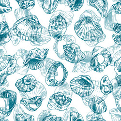 Blue background with sea shells Royalty Free Vector Image