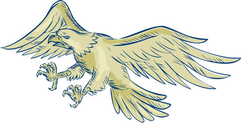 Diving Eagle Drawing