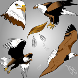 Sunset with eagles Royalty Free Vector Image - VectorStock