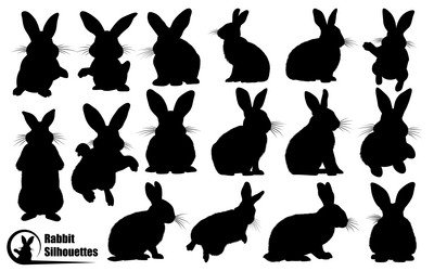 Animal rabbit jumping or running Royalty Free Vector Image