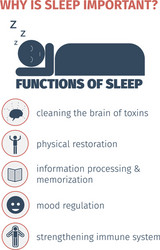 Sleep Infographic Vector Images (over 4,000)